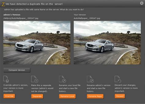 Duplicate Detection Evolphin Documentation
