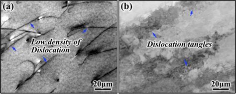 Stem Bf Images Showing The Dislocation Distribution For The As Cast