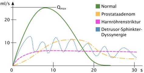 Urologie Karteikarten Quizlet