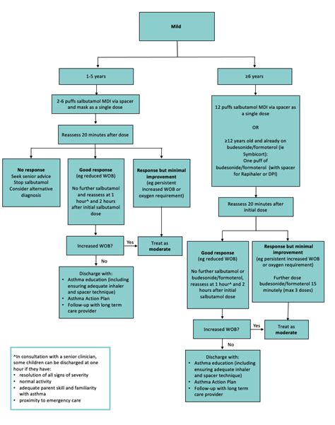 Asthma Spacer Guidelines At Larry Webb Blog