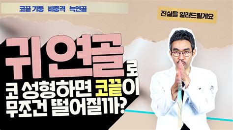 귀 연골 코수술 귀 연골로 코 성형하면 코끝이 무조건 떨어질까 진실을 알려드립니다 모든 답변