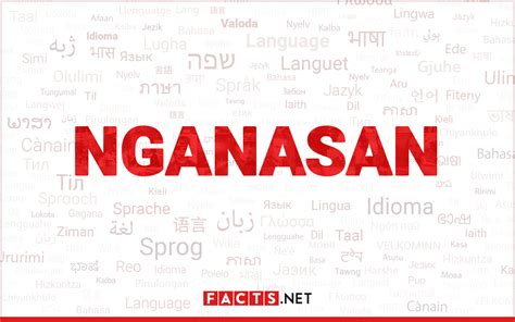 8 Mind Blowing Facts About Nganasan