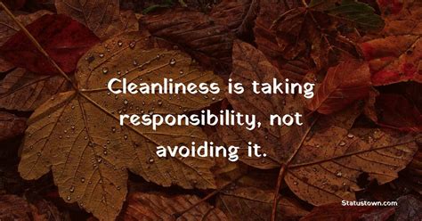 Cleanliness In A Country Depends On Everyones Individual Effort In