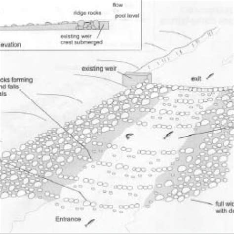 Diagram Of Fyke Net Configuration And Mesh Size Used In Trapping