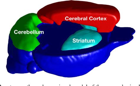 Figure 1 From Task‐based Design Of A Synthetic‐collimator Spect System