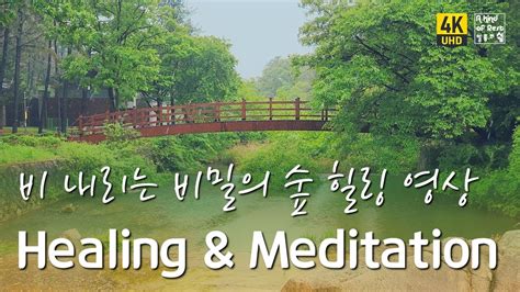 🧘‍♀️ 힐링 And 명상 스트레스 해소 음악 🌳비밀의 숲 휴식 빗소리 벌레소리 🌸편안한 쉼 수목원 힐링영상 🎵명상음악 🙏healing Meditation 5분명상