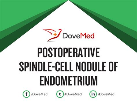 Postoperative Spindle Cell Nodule Of Endometrium