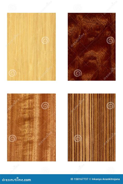 Muestras De Madera Barnizada Aisladas Sobre Fondo Blanco Imagen De Archivo Imagen De Madera