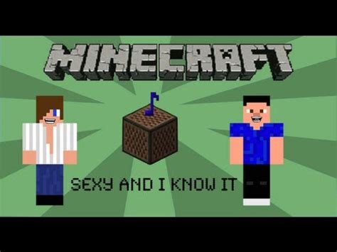 Minecraft Sexy And I Know It By LMFAO In Note Blocks YouTube