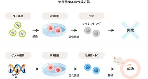 ゲノム編集ips細胞による治療とは Ixgene