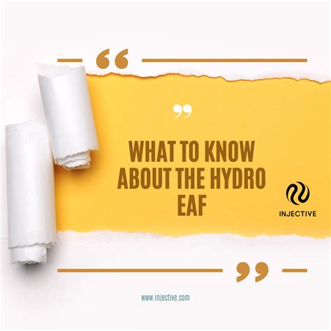 key fact you need to know about the fuse bridge dapp by chukwudi