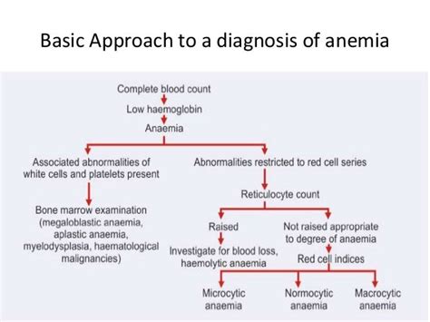 Laboratory Diagnosis Of Anemia