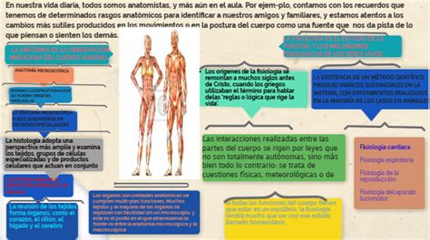 Anatomía
