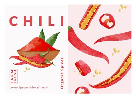 칠리 페퍼 파우더 패키지 디자인 템플릿 수채화 스타일 터 일러스트레이션 프리미엄 벡터