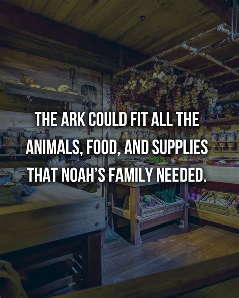 Ark Guests Who Visit The Ark At Night During The First 40 Daysnights