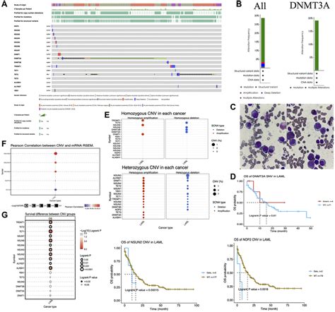 5 Methylcytosine Rna Modification Regulators Based Patterns And Features Of Immune