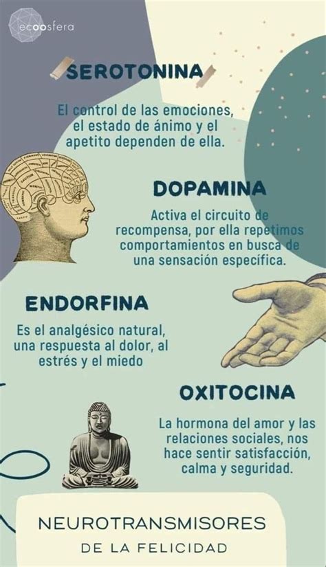Consejos Para Estimular Hormonas De La Felicidad Artofit
