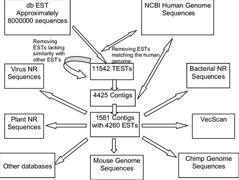 The Workflow Of An Algorithm Allowing Identification And Analysis Of