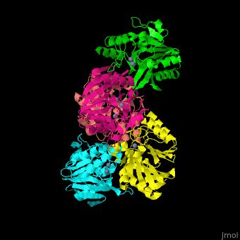 Beta Lactamase Proteopedia Life In D
