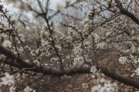 Anthony Wayne Moore Porge”