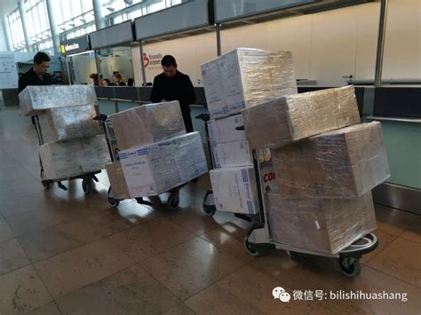 比利时华人青年联合会捐赠抗疫急需物资 中华全国归国华侨联合会