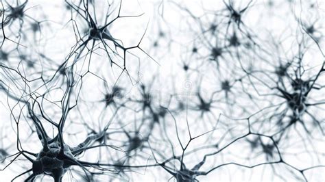 Intricate Network Of Neurons A Microscopic View Of A Network Of Neurons Showcasing The Intricate