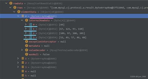 jdbc api 万字详解（通俗易懂） csdn博客