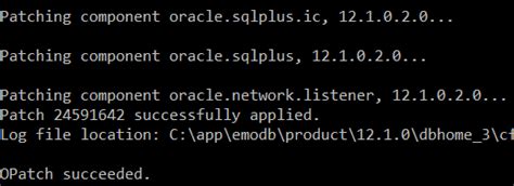 Applying Patches On Oracle 12c Database In Windows Environment
