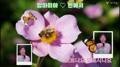 맘마미아 빈예서 미스트롯3 정태용님 요청에 가사첨부 Youtube