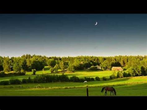 Новая Земля Экхарт Толле Аудиокнига Nikosho - YouTube