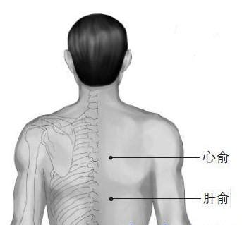 心俞穴 搜狗百科