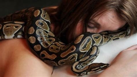 Inilah Kerajaan Ular Terbesar Di Indonesia Suryamalang Com