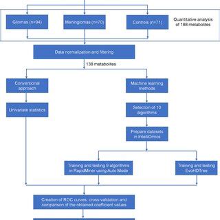 Diagram Showing The Workflow Of The Experiment Download Scientific Diagram