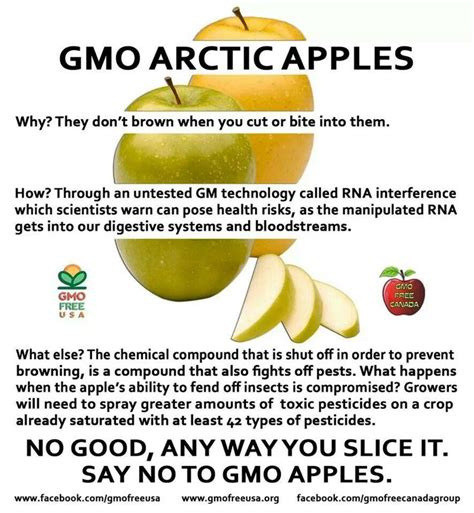 No Gmo Apples Gmo Free Toxin Free Life Health Risks