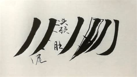 毛笔书法入门，欧阳询楷书3种撇画的写法及应用：中撇，长撇，竖撇 Chinese Calligraphy 해서체 楷書 서예 行書 書道 Youtube