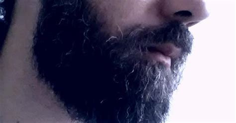 Merry Christmas Everyone Album On Imgur