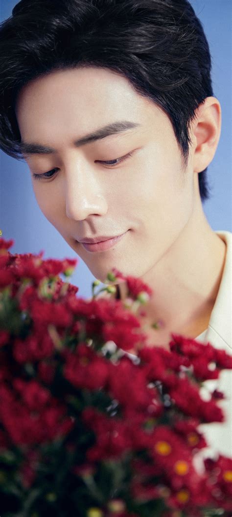 肖战 微笑 鲜花 帅哥高清手机壁纸phone高清大图彼岸桌面