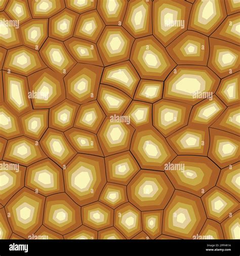Turtle Shell Pattern Wallpaper Free Vectors Tortoise Shell Pattern