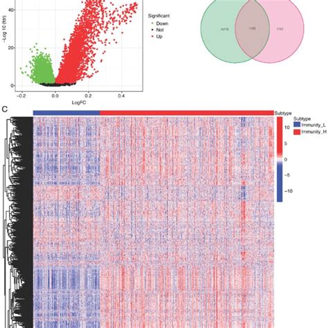 Classification Immune Landscape Of High And Low Immunity Groups In Download Scientific Diagram