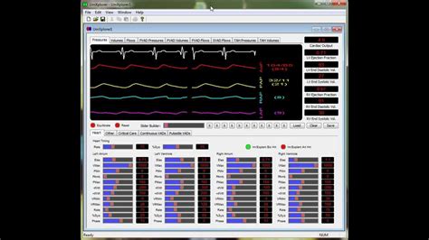 Hemodynamics Simulation Using Umxplorer Youtube