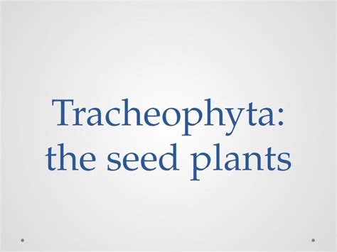 Pptx Tracheophyta The Seed Plants Dokumentips