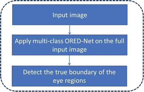 artificial intelligence based semantic segmentation of ocular regions