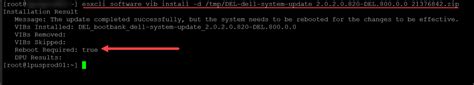 how to use dell system update dsu utility for vmware esxi firmware