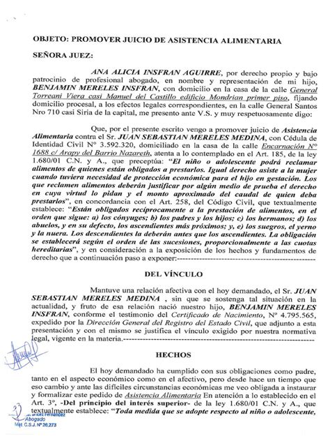 Escrito Inicio De Demanda Ana Alicia Insfran Aguirre Pdf
