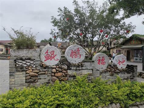 【2024年实践周】我院酒店管理2023班赴玉林鹏垌村开展见习活动 历史文化旅游学院