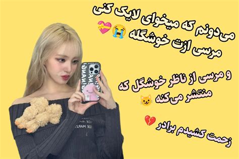 هی کاربر جدید تستچی