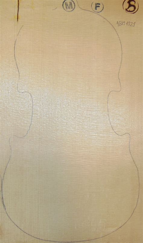 One Piece Bachmann Master Grade Violin Spruce 2021 Tonewood Shop