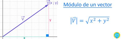 Módulo De Un Vector Definición Y Ejemplos Prácticos