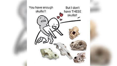 you have enough x but i don t have these x know your meme