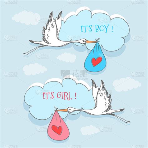 鹳和女孩和男孩的宝宝